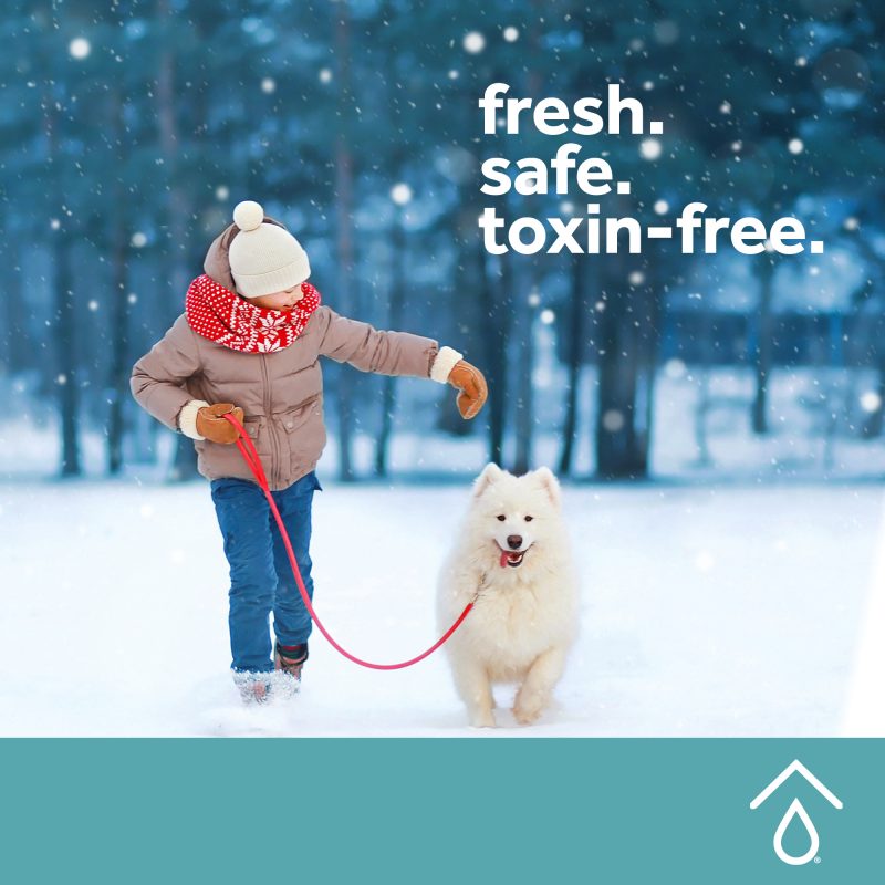 5 Things to Avoid to Help Protect Your Pet Now and Throughout the Year ...